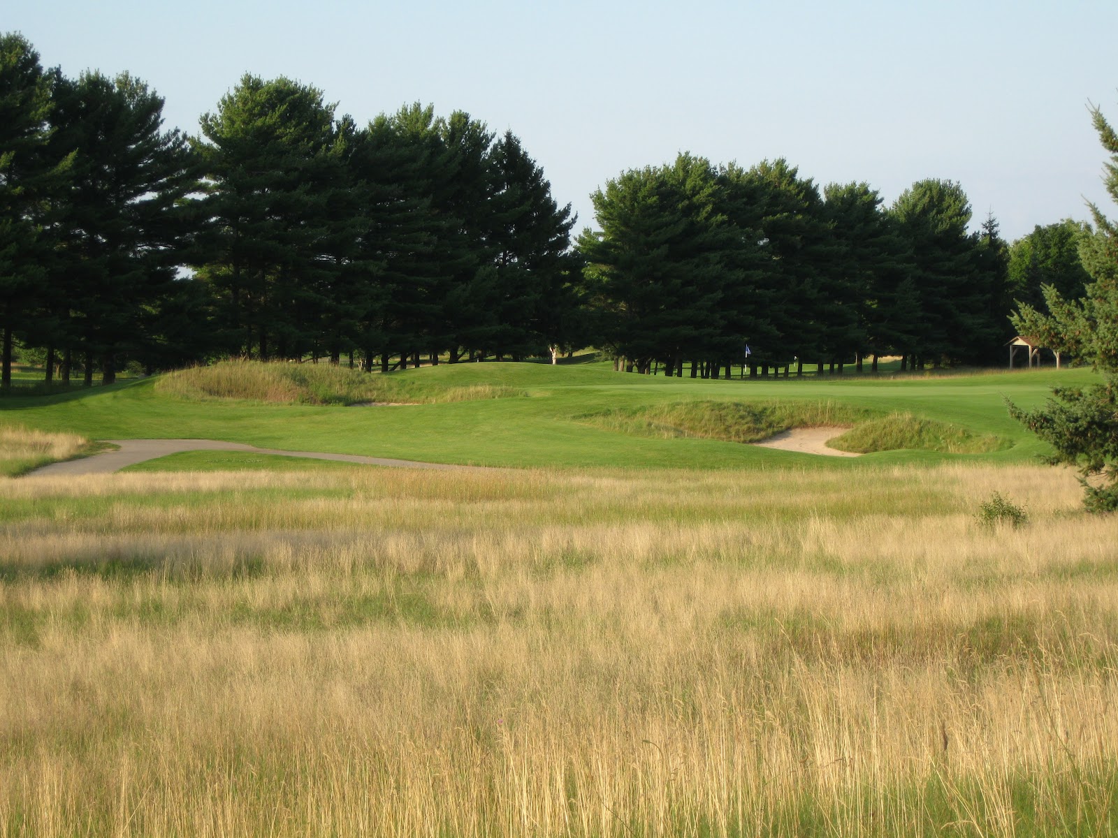 TCCC Grounds Blog: Carts in the Native Grass