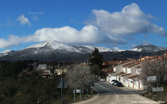Zorro Corredero de Cadalso de los Vidrios: Bienvenido a Cadalso de los ...