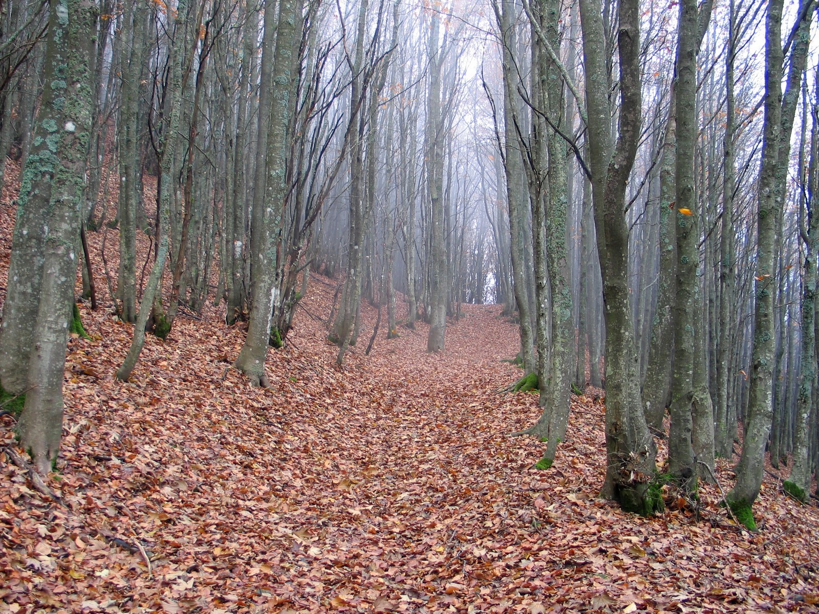 50 Hikes In and Around Tuscany: The Ecosystems of Tuscany