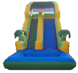 Water slide rentals in phoenix: Water Slides in Phoenix