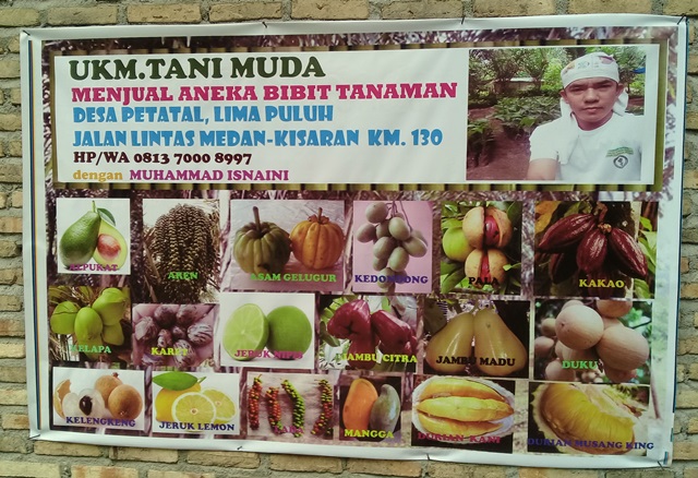 Membangun Pabrik Kelapa Sawit (PKS) Mini