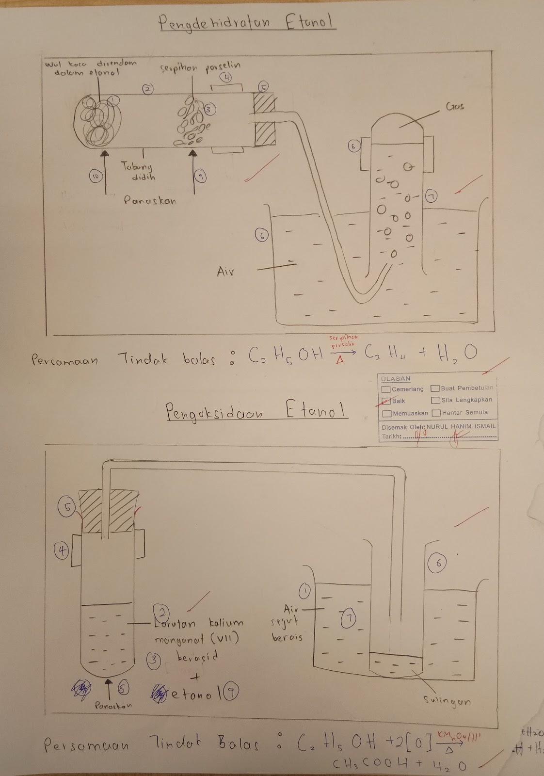 Cikgu Nurul : Tindak Balas Alkohol (Nota Pelajar)