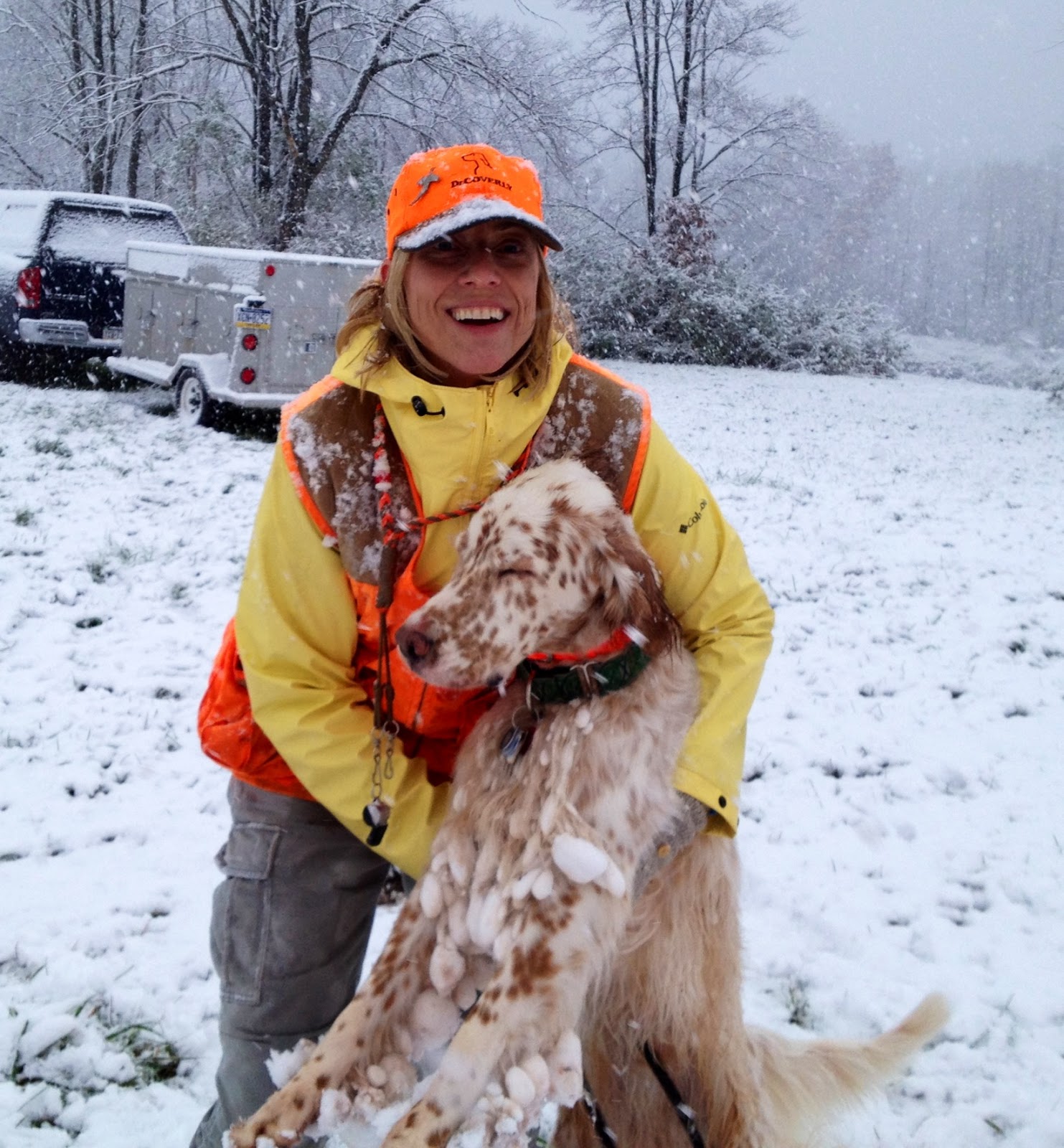 Kingston - Fine English Setters: Field