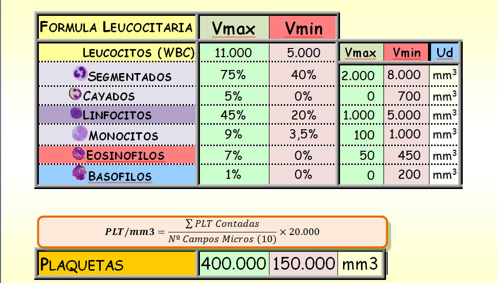 Apuntes para recordar: Fórmula manual de leucocitos y plaquetas