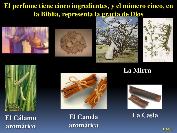 IGLESIA FE APOSTOLICA Y PROFETICA: LOS INGREDIENTES DE LA UNCIÓN