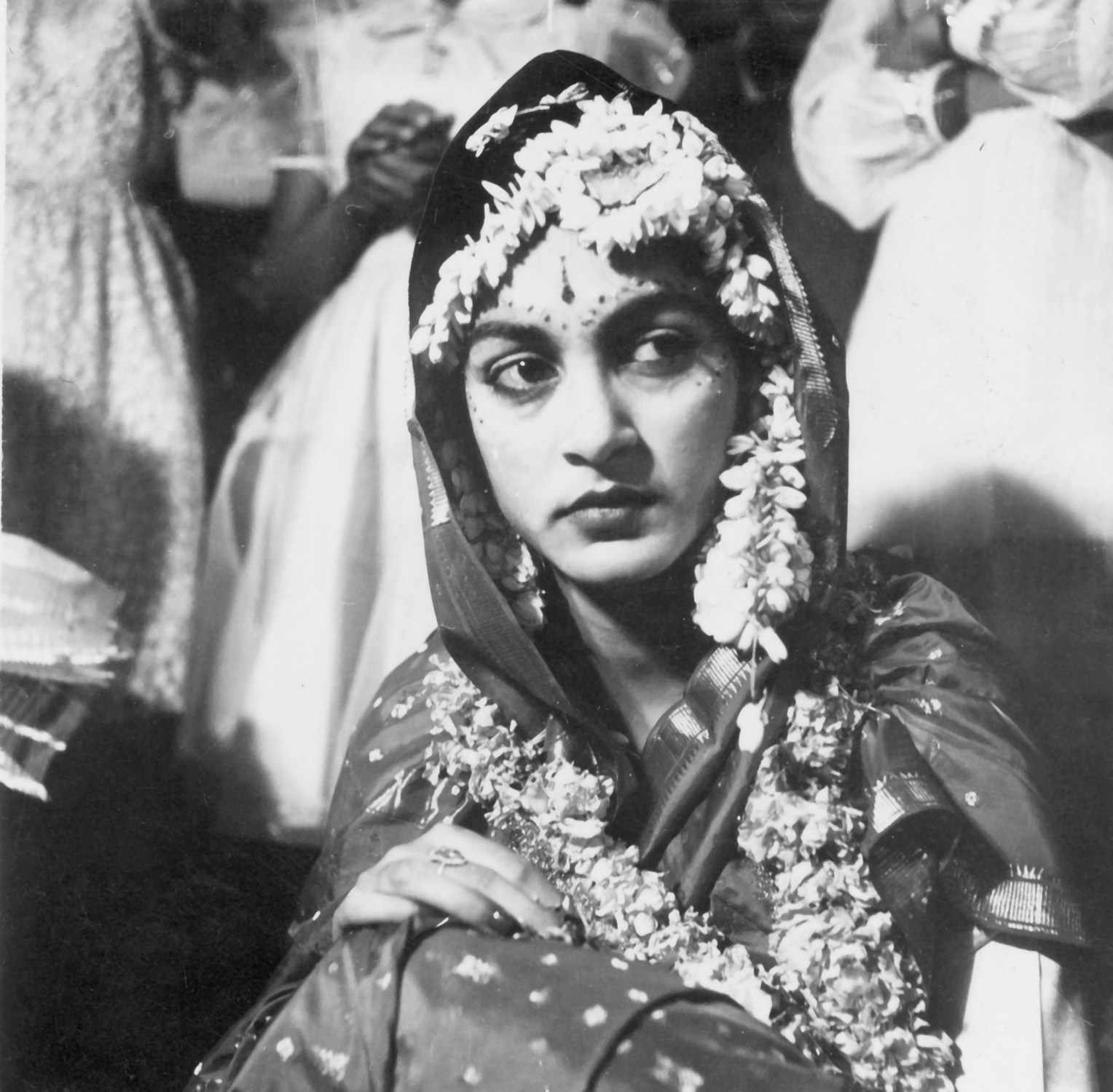 A Delhi Gardener's Blog