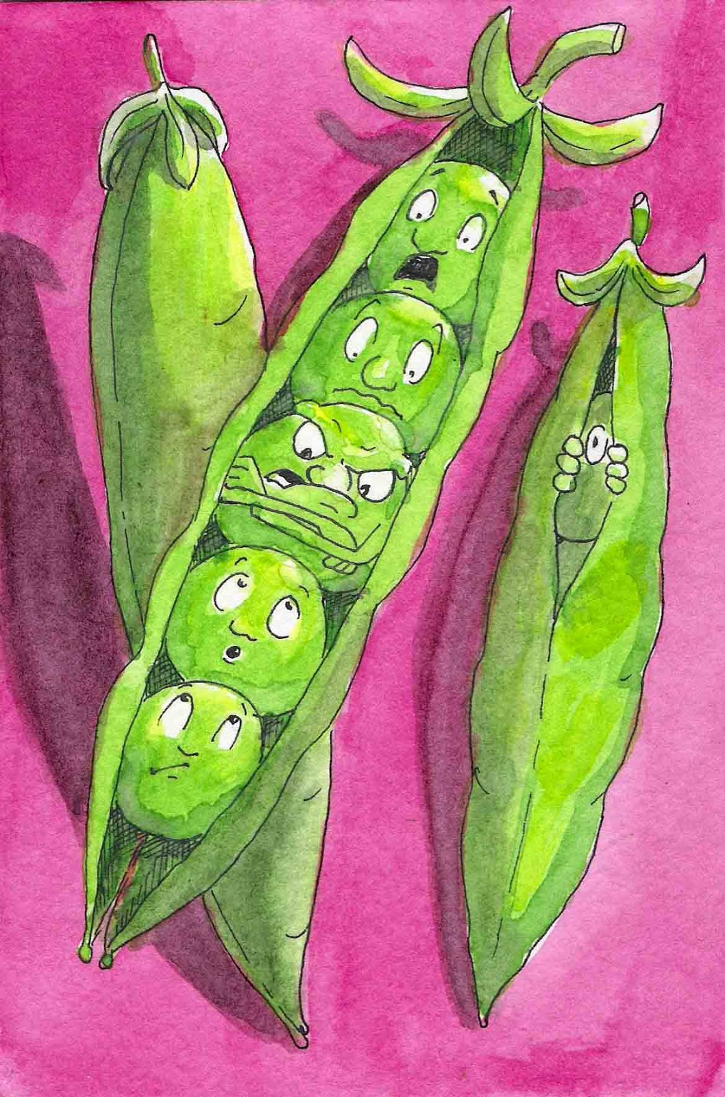 Sketches For Nora and Alfred: The Angriest Vegetable