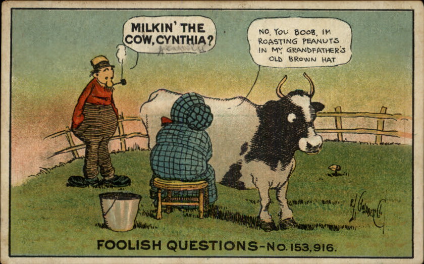 Screwball Comics: Say, Are You Looking at A Computer? Rube Goldberg's ...