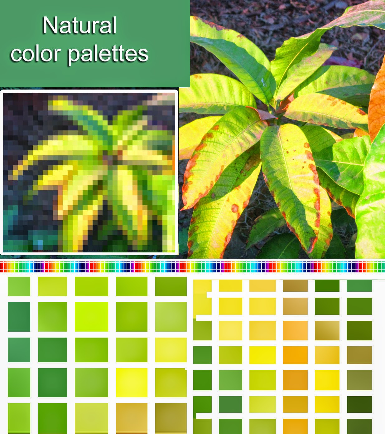 color palettes for: Natural colors palettes