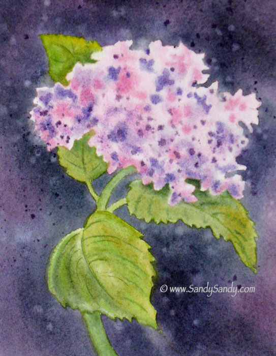 *SANDY SANDY ART*: More Hydrangea Paintings in Watercolor