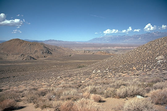 Biología y Geología en el IES Valle de Leiva: BIOMAS TERRESTRES: ESTEPA