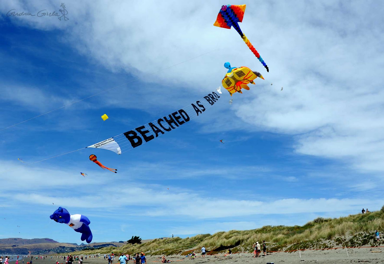 Assorted Goodies: Brighton Kite Saturday