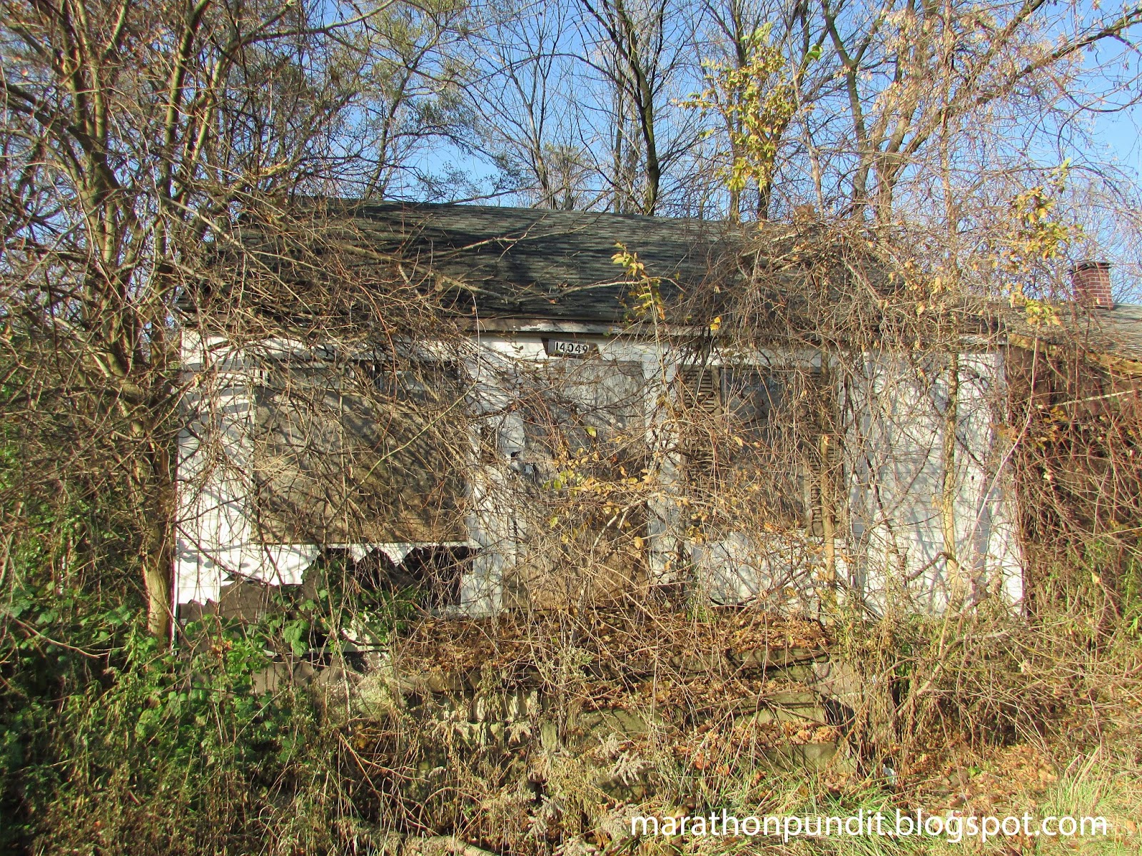 Marathon Pundit: Detroit: Brightmoor or Blightmoor? (Part One)