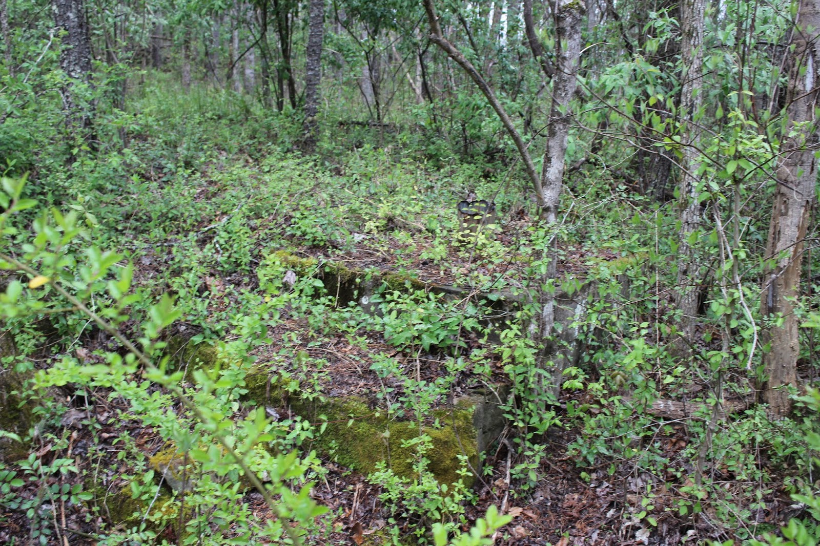 Cumberland Gal: Gobey Exploring in Spring