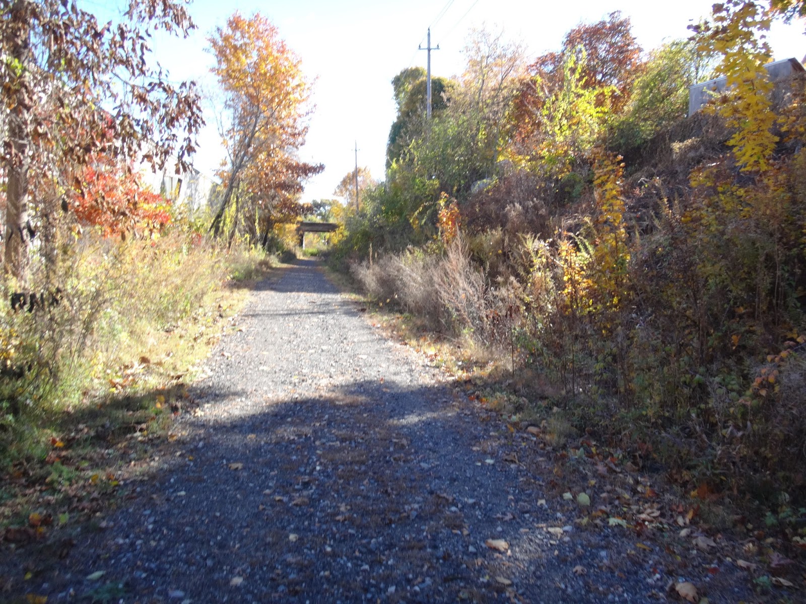 double d mountain runner: Methuen rail trail and Nevins bird sanctuary