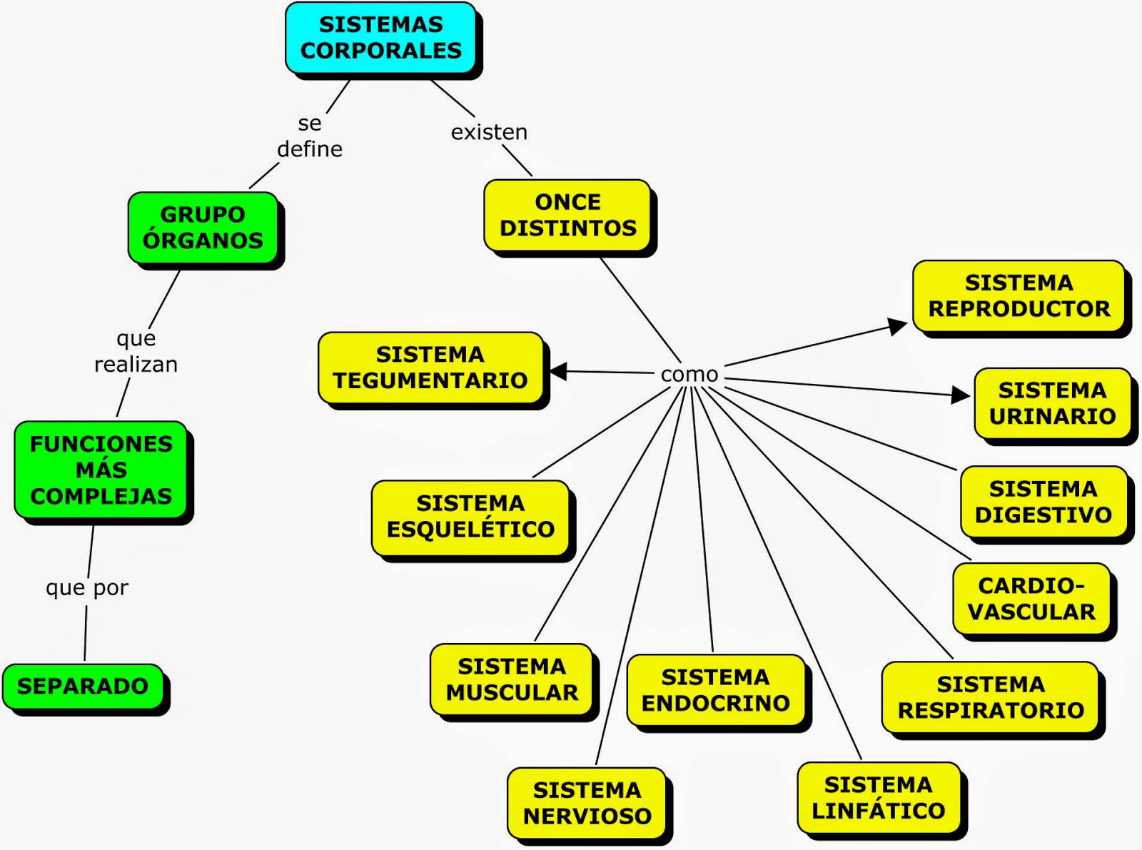 Mapa Conceptual Del Cuerpo Humano Con Todos Sus Sistemas En | My XXX ...