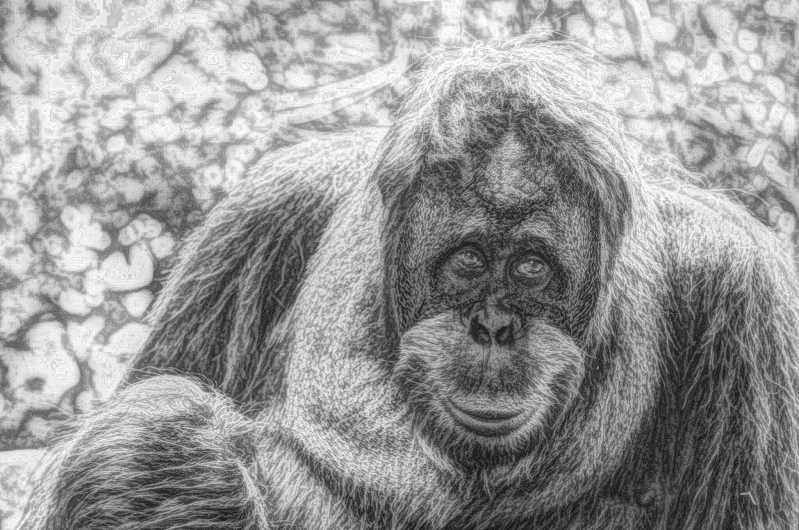 43 random free stock photos for commercial use