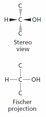 Sandwalk: Better Biochemistry: Fischer Projections