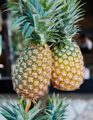 Your Ultimate Guide to Picking The Perfect Pineapple