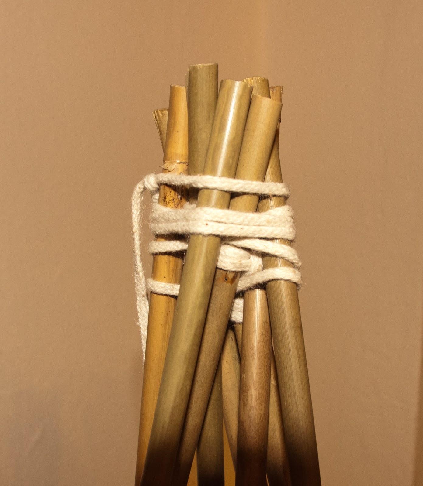 Pikice in rožice: Novoletna jelka