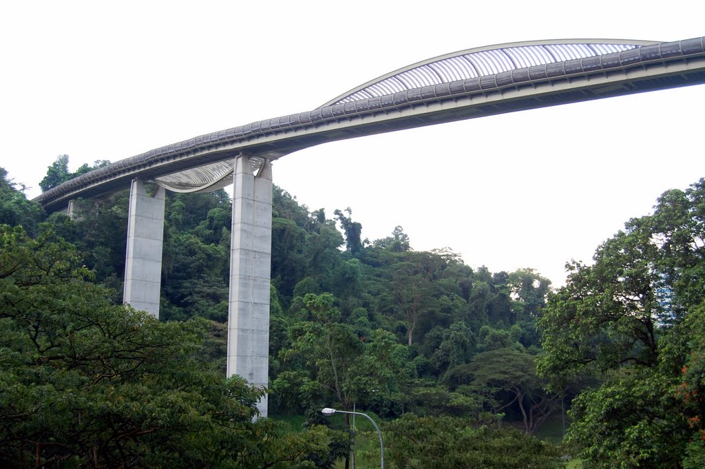 Off in Singapore: Henderson Wave Bridge