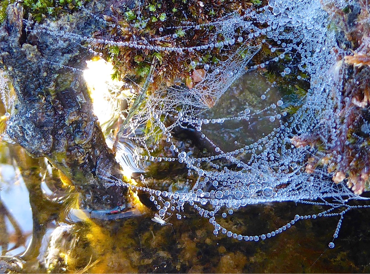 The Cranbrook Guardian: Out and About at Jim Smith Lake