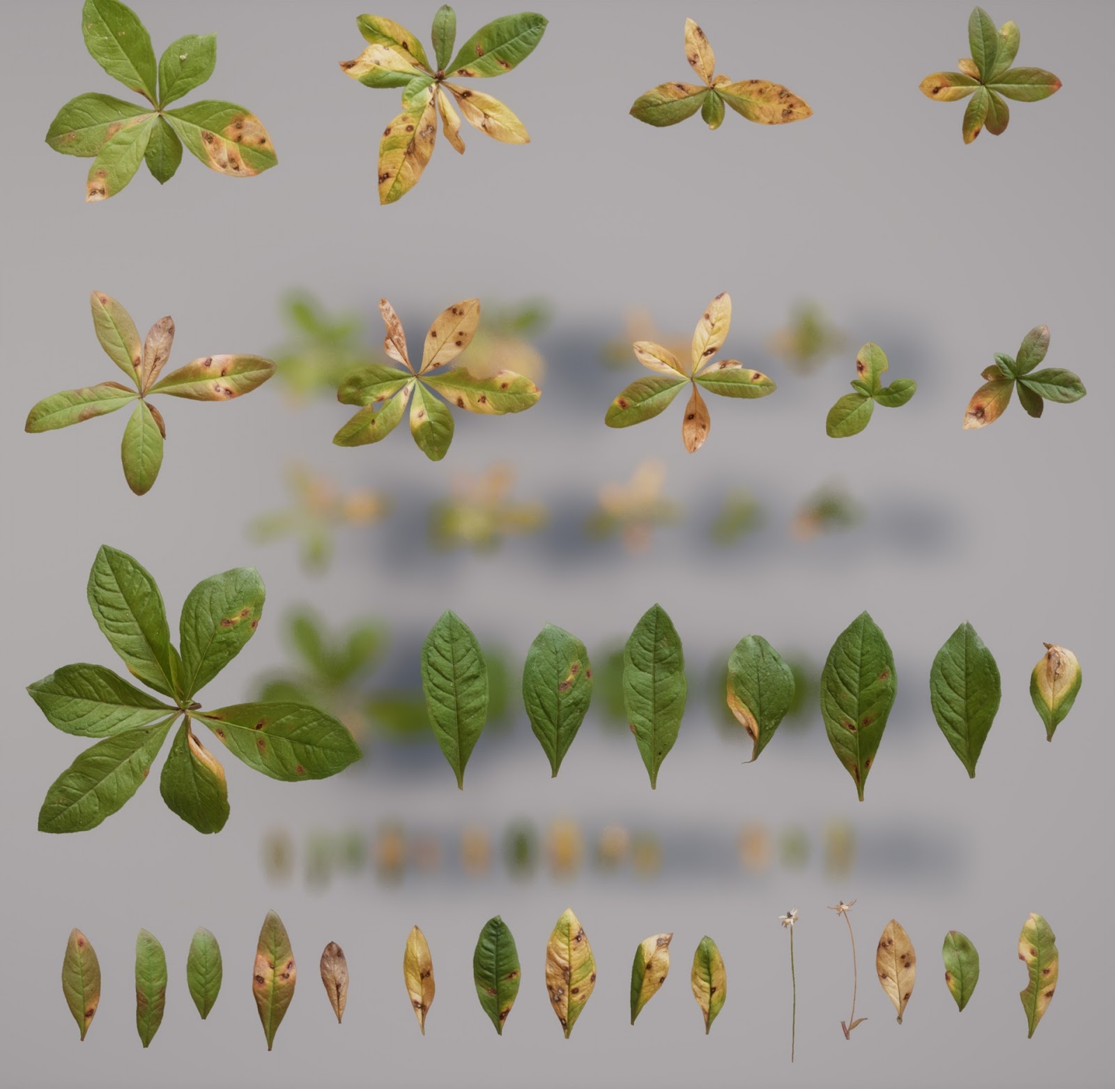 Advancing Real-time Graphics - Ultimate Plant Pack by Rens | Computer ...