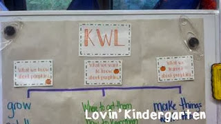 Lovin' Kindergarten With Mrs. Lindsey: Pumpkins! {and a freebie!}