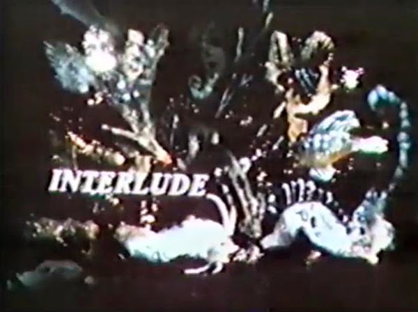 Studio Pluche: Interlude