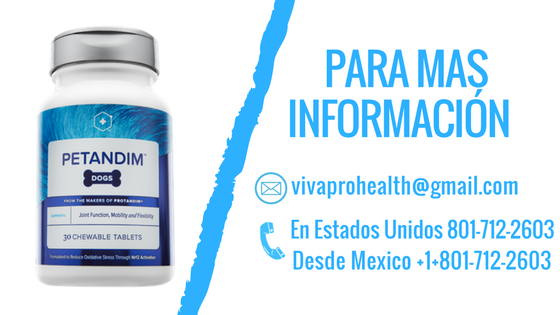 QUE ES PROTANDIM: Protandim Mascotas "PETANDIM"