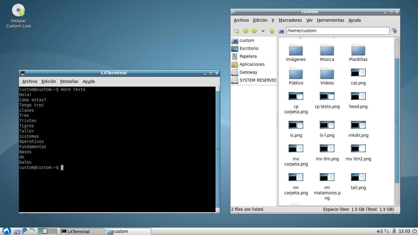 Taller de Sistemas Operativos: Comandos de Linux (Lubuntu)
