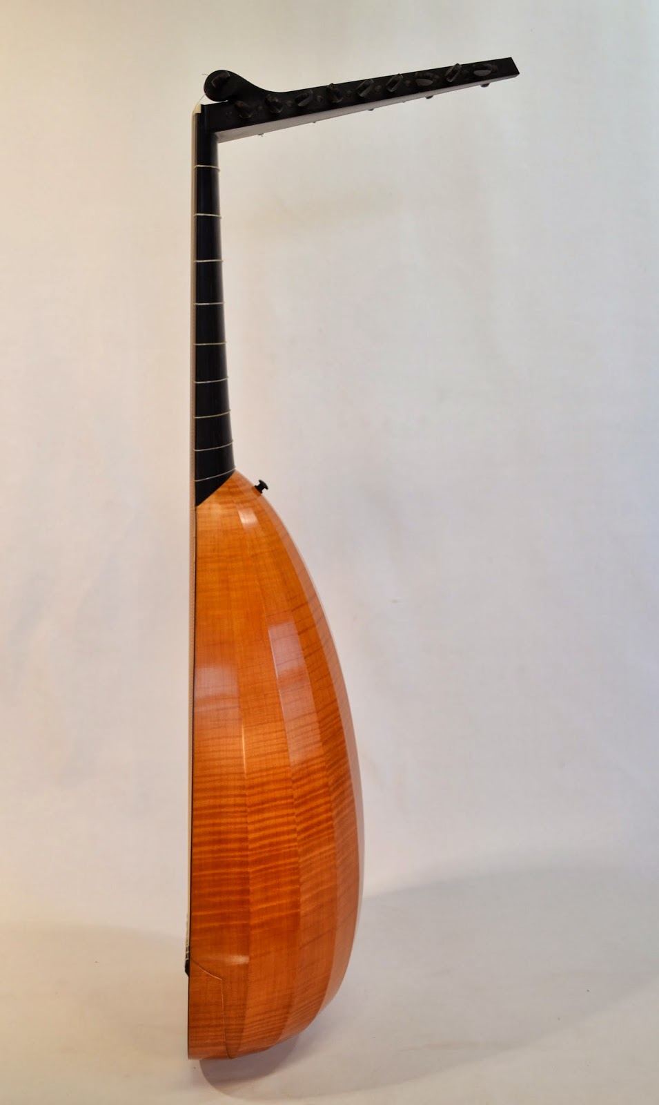 The Lute's Progress,: New Work from Last Summer