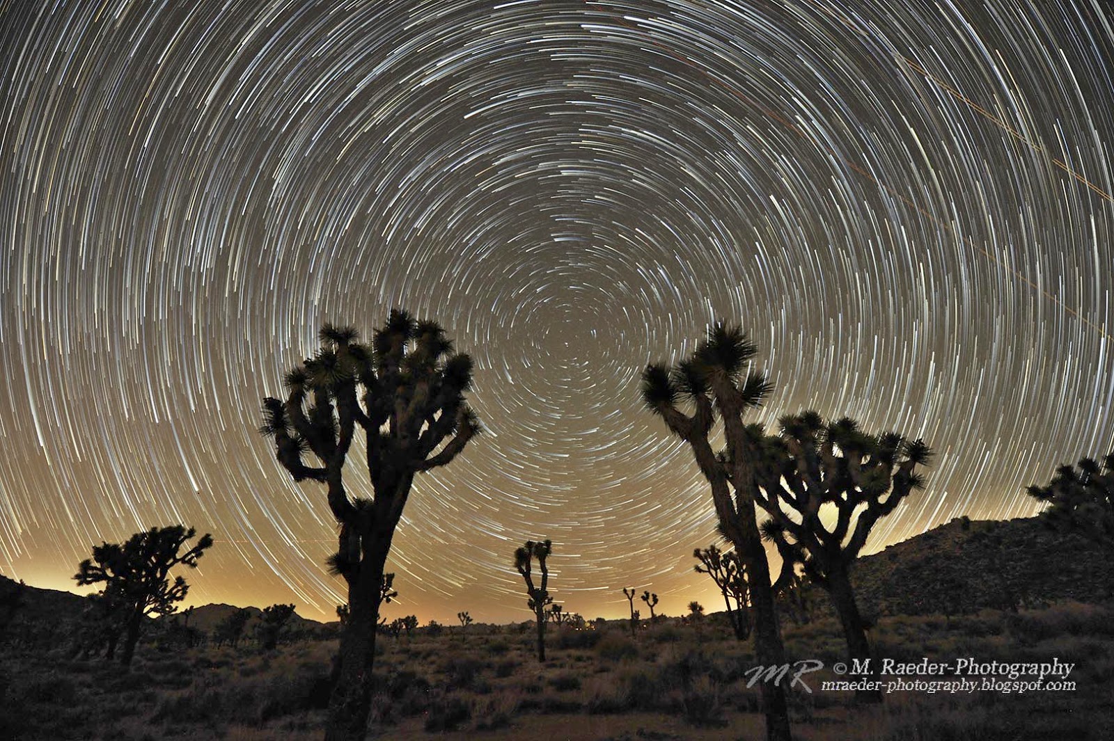 M. Raeder - Photography: Joshua Tree NP_Night Astro-Landscape Photography