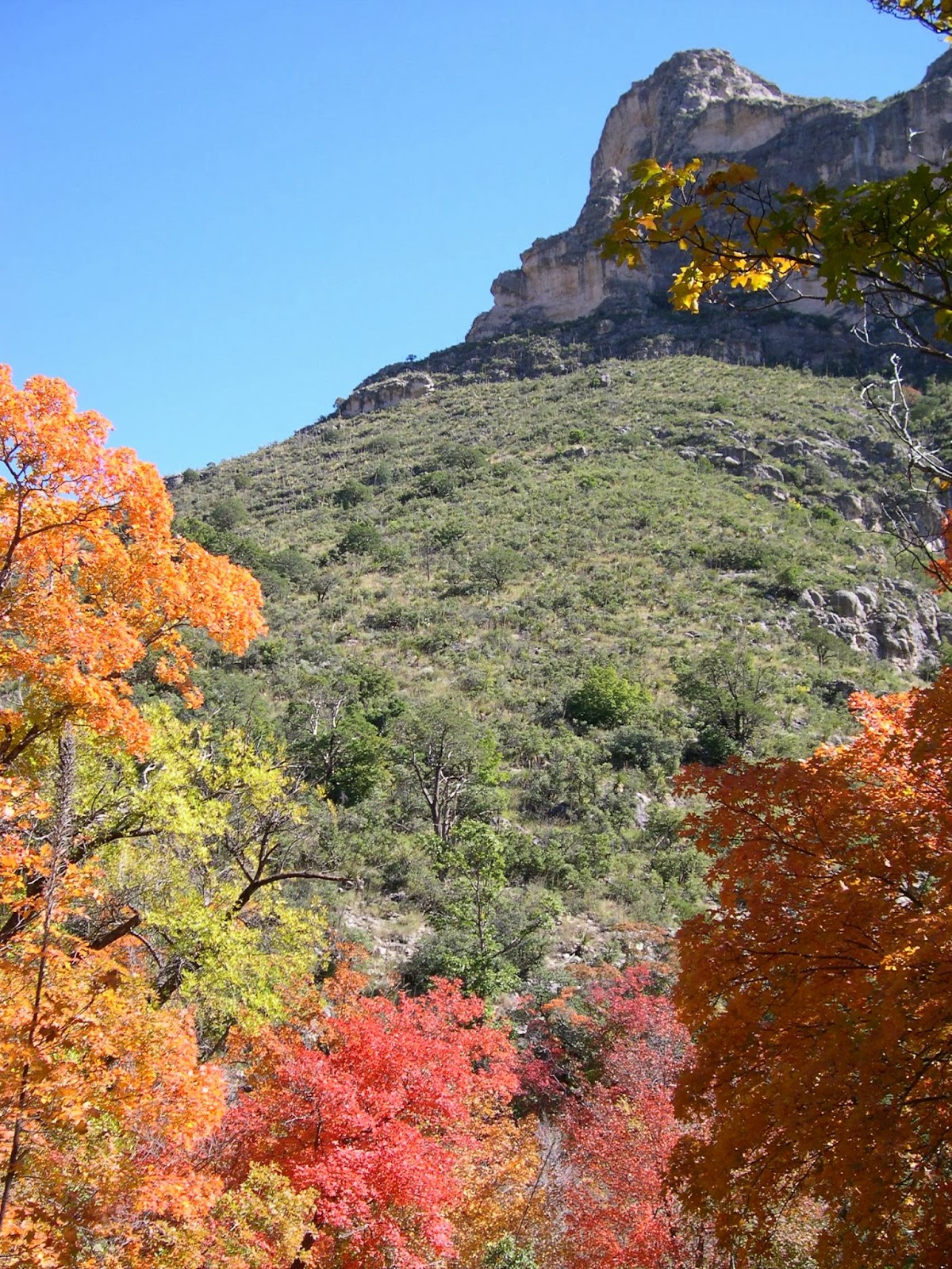 Texas Mountain Trail Daily Photo: Do we have Texas' TOP Destinations ...
