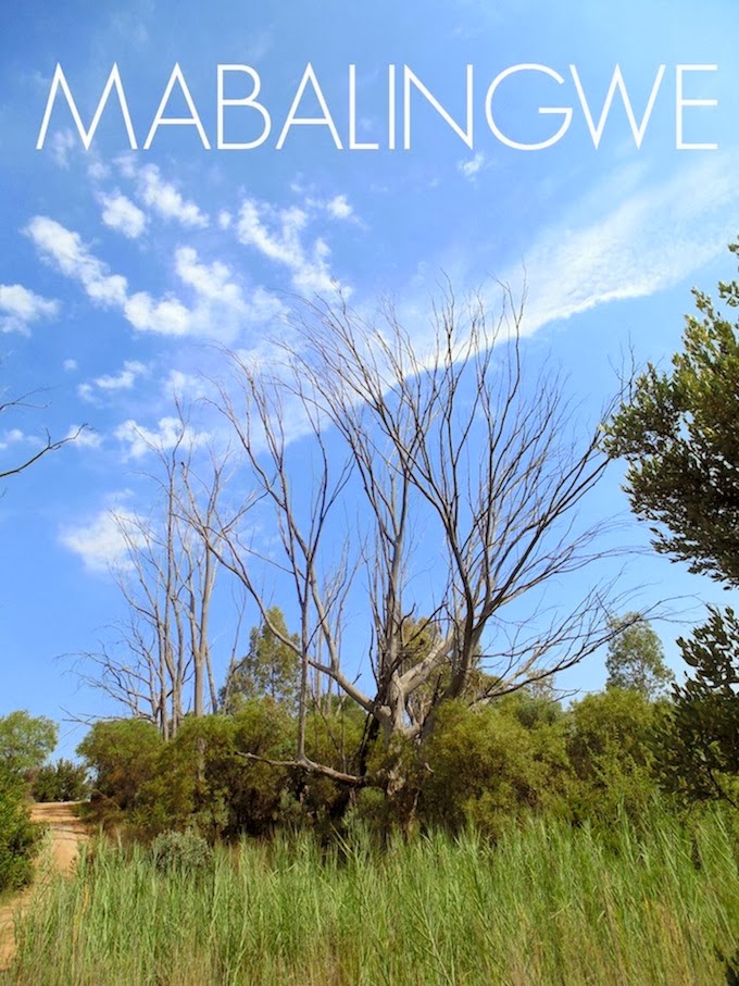 The Sun House :: a lifestyle blog: Mabalingwe {weekend trip}
