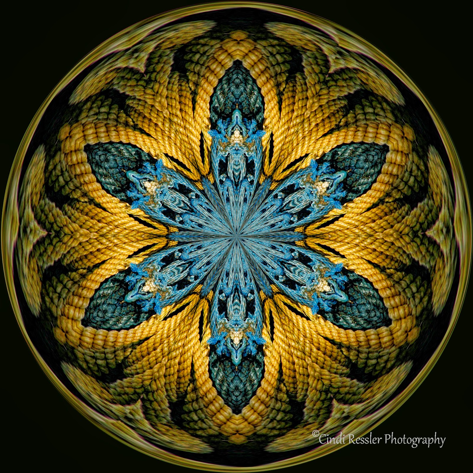 Cindi Ressler Photography: Photo Of The Week "Nautical Star Orb"