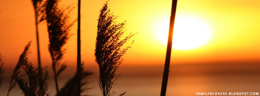 My India FB Covers: Sunshine - Nature FB Cover