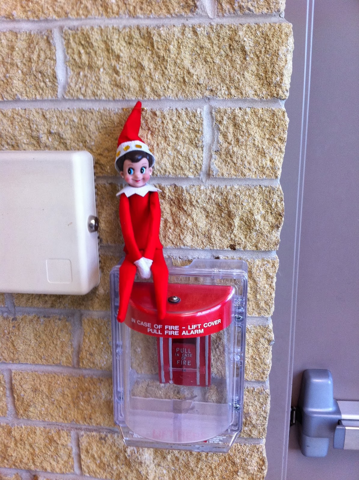 Ms Fink's Fabulous Grade Two class!: Elf on the Shelf at the Library
