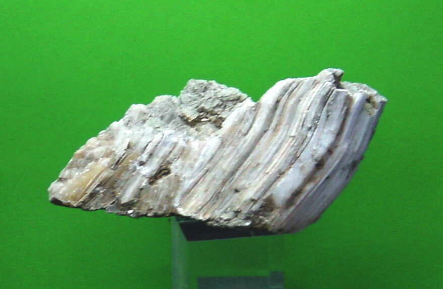 derivacontinental2000