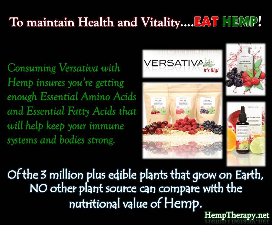 Hemp Therapy: Why is HEMP is the PERFECT Food?