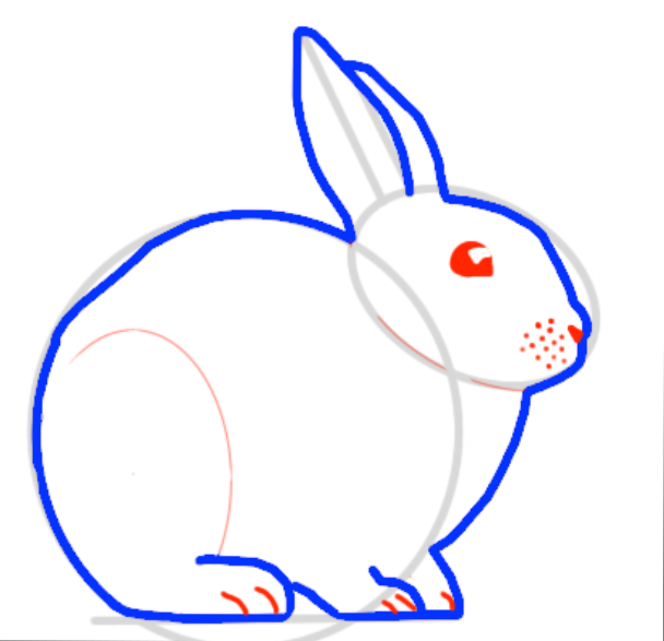 Art master: Cute Bunny, Side view, Step to Step, Tutorial