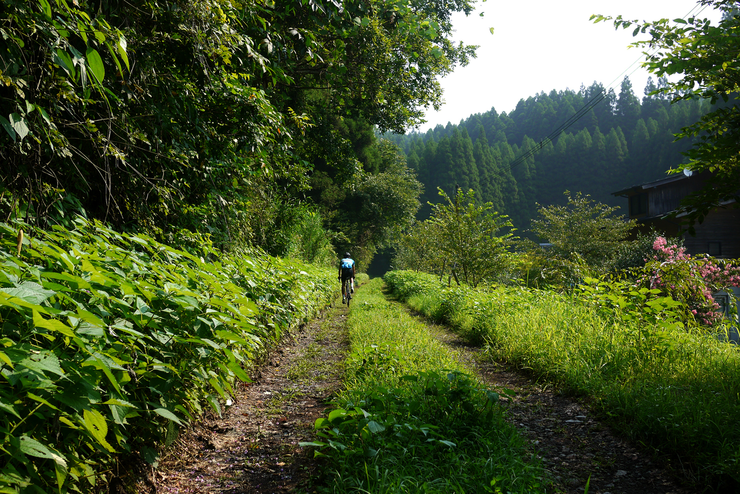 Peak Experience: Outside is Free