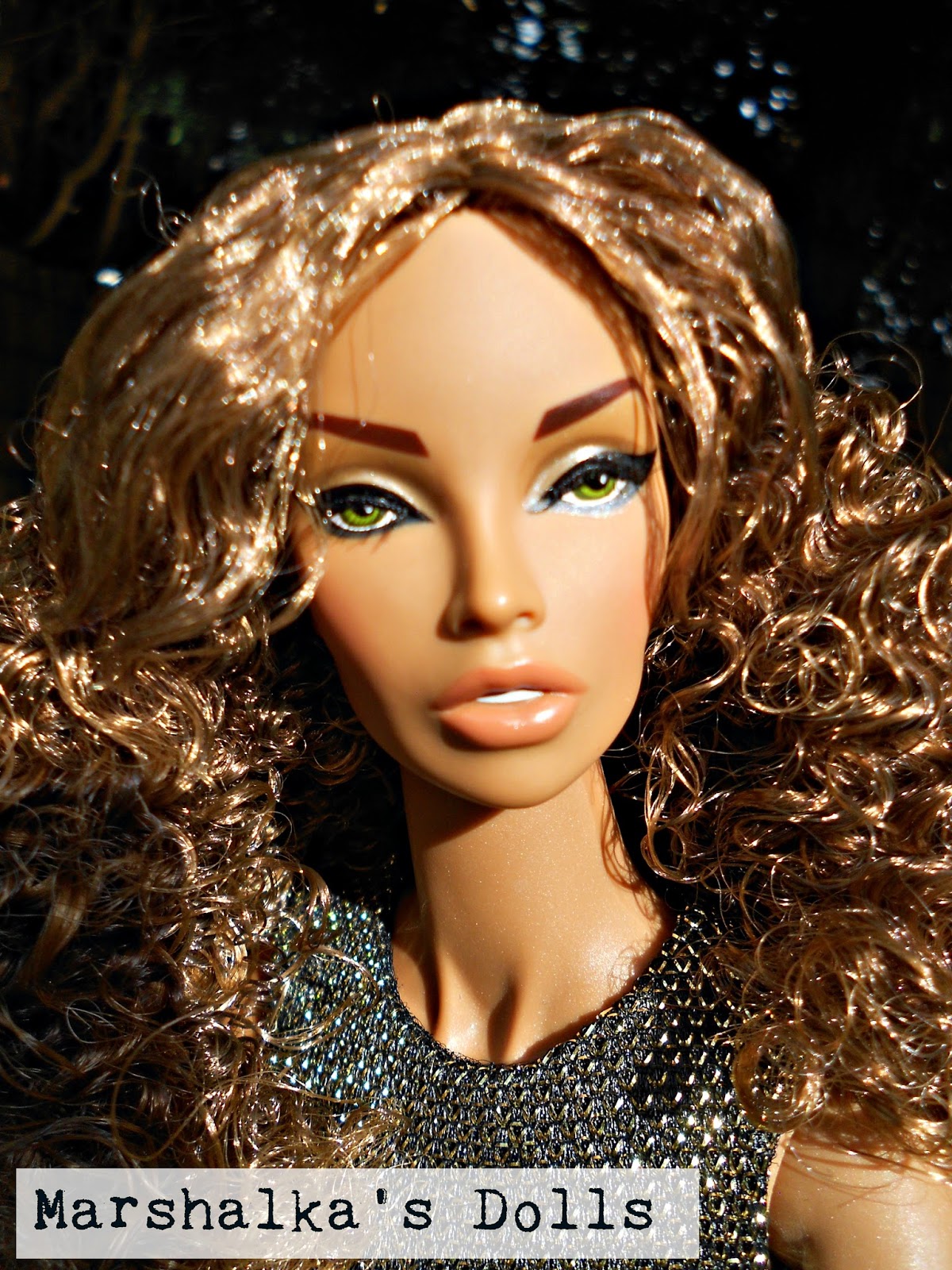 Marshalka's dolls. Barbie, Integrity Toys and much more.