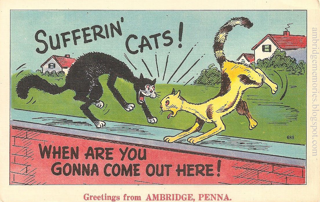 Ambridge Memories: Ambridge memorabilia: cartoon postcards