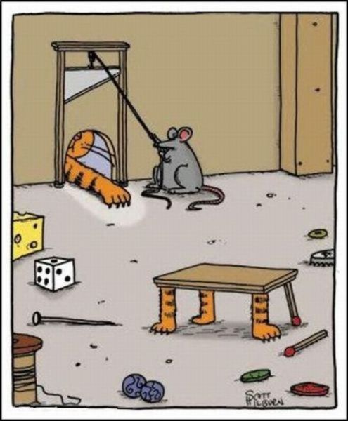 Most Funny Pictures,Weird,Bizarre,Strange Stuff: 6 pics Very Funny ...