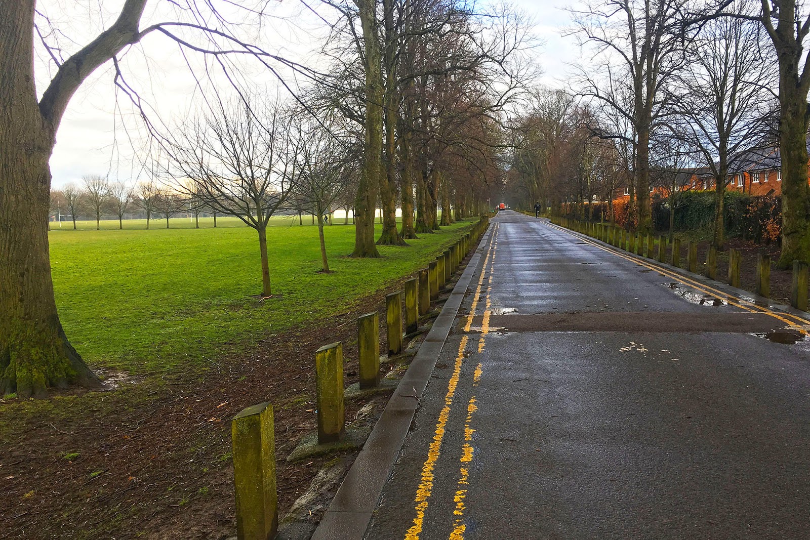 Running Routes: Cardiff Taff Trail Running Route