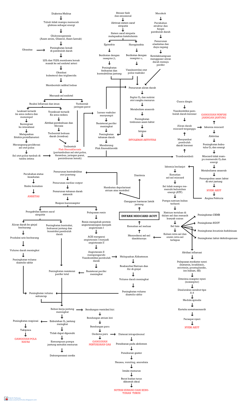Pathway IMA (Infark Miocard Acute)