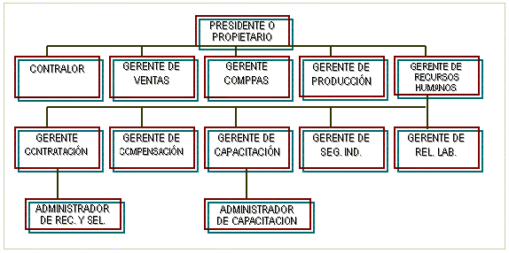 ADMINISTRACIÓN DE RECURSOS HUMANOS: ORGANIZACIÓN DE UN DEPARTAMENTO DE ...
