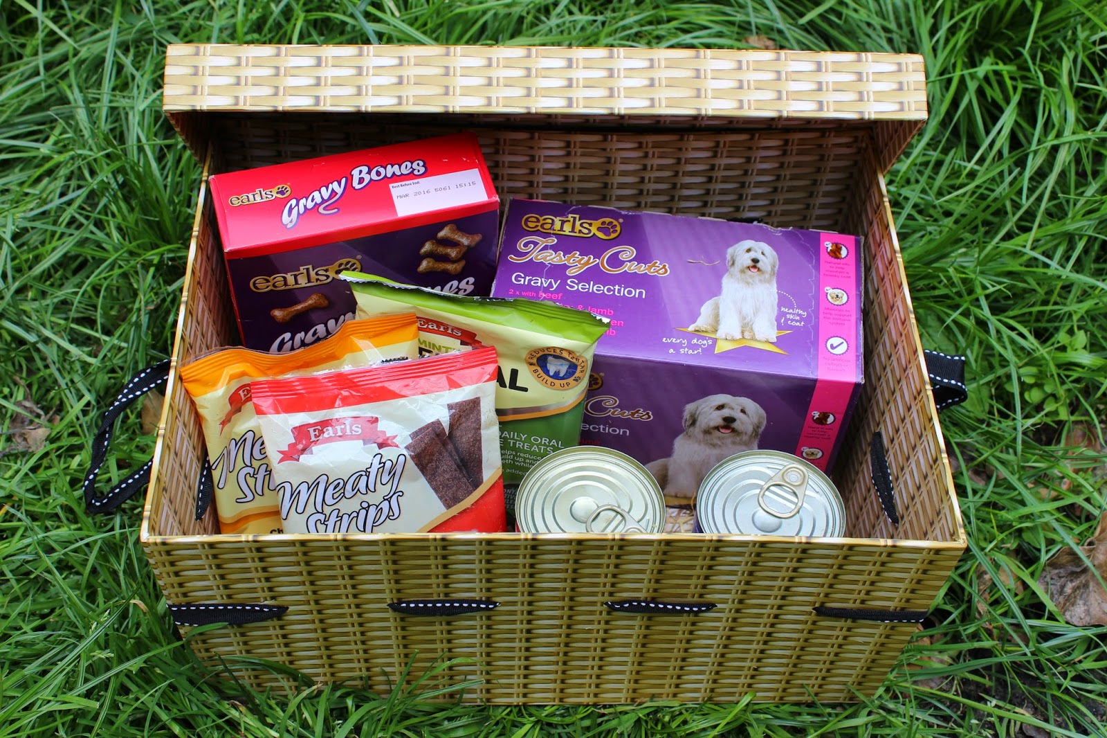 Aldi Dog Hamper Review | The Human Mannequin