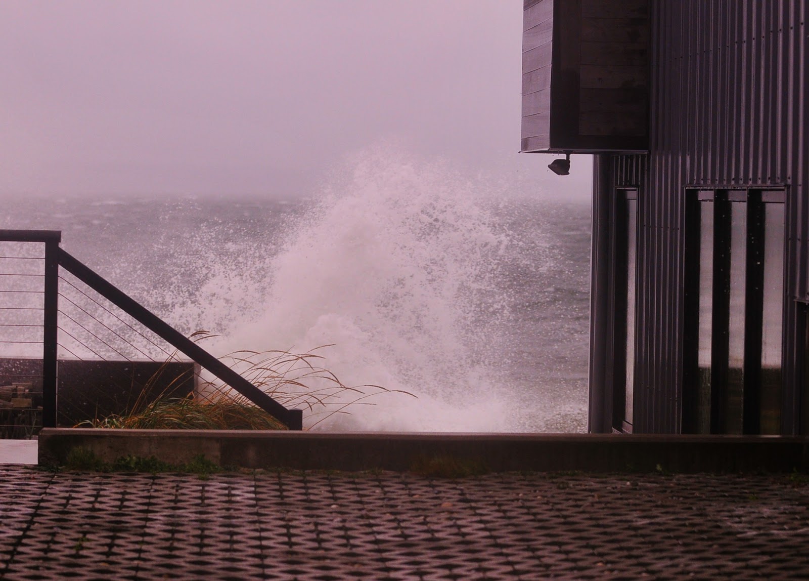 Shoreline Area News: Wet and windy weather brings out the photographers
